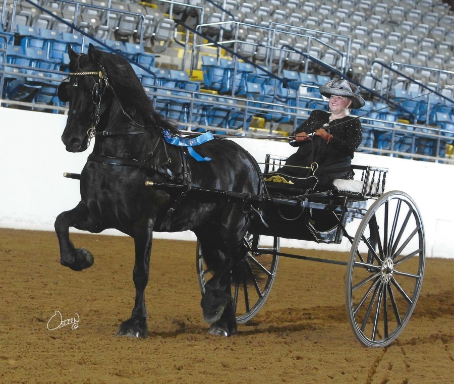 Friesian Heritage & Sporthorse News & Promotions